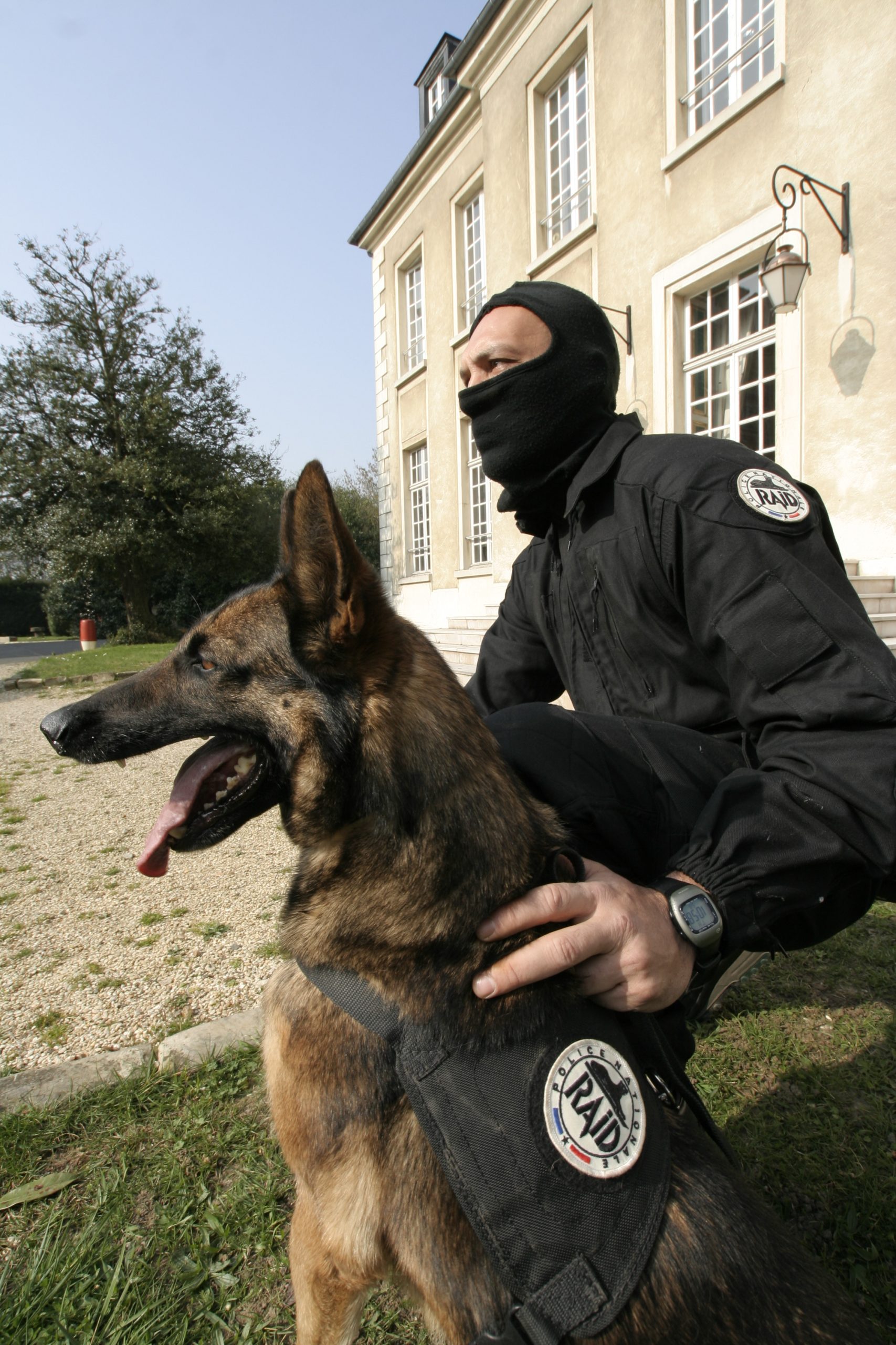 Le groupe cynophile - FIPN-SDLP