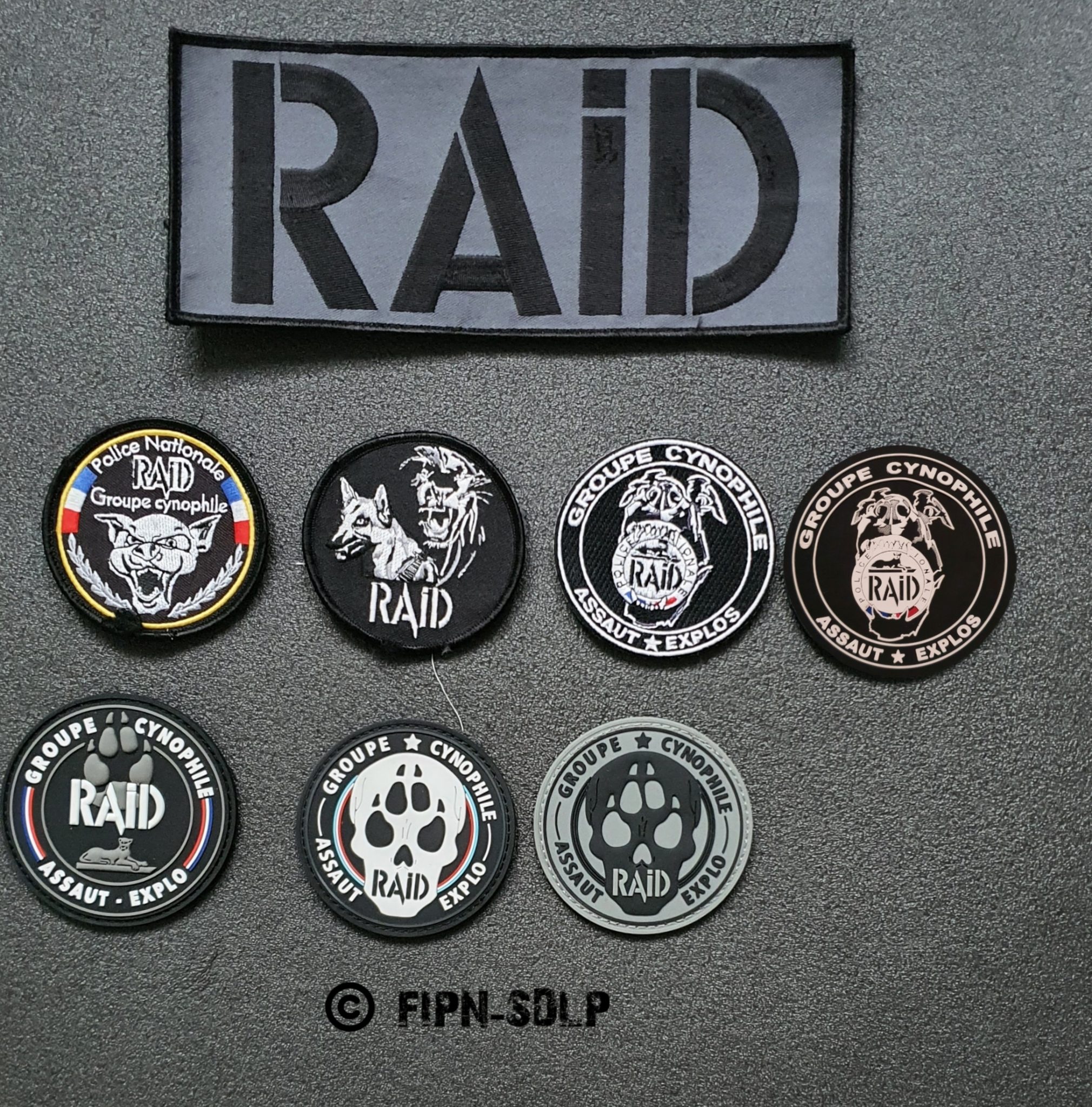 ÉCUSSONS RAID - FIPN-SDLP