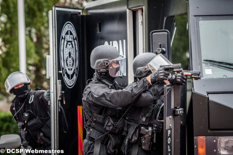 LES GIPN - FIPN-SDLP