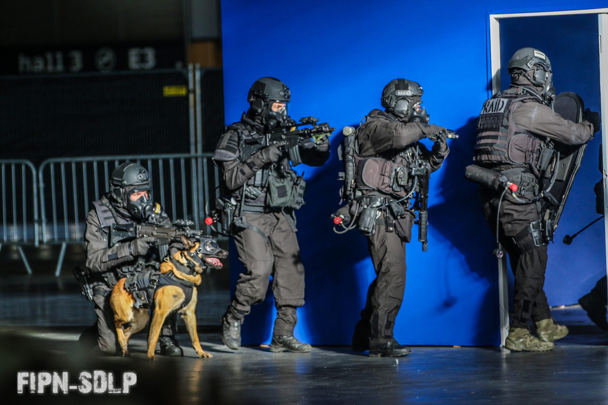 Photos de Logan au RAID de Strasbourg - FIPN-SDLP